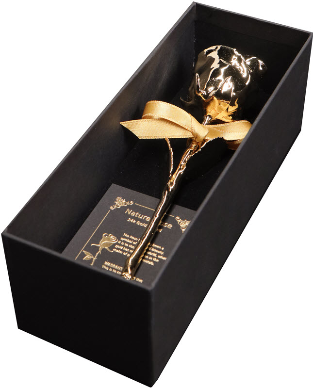 Германия "Роза в золоте" 14 см 2024 г.